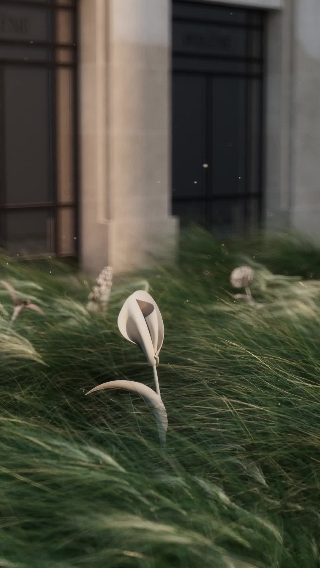 POLENE官方网站 – 巴黎高级手袋 – Polène